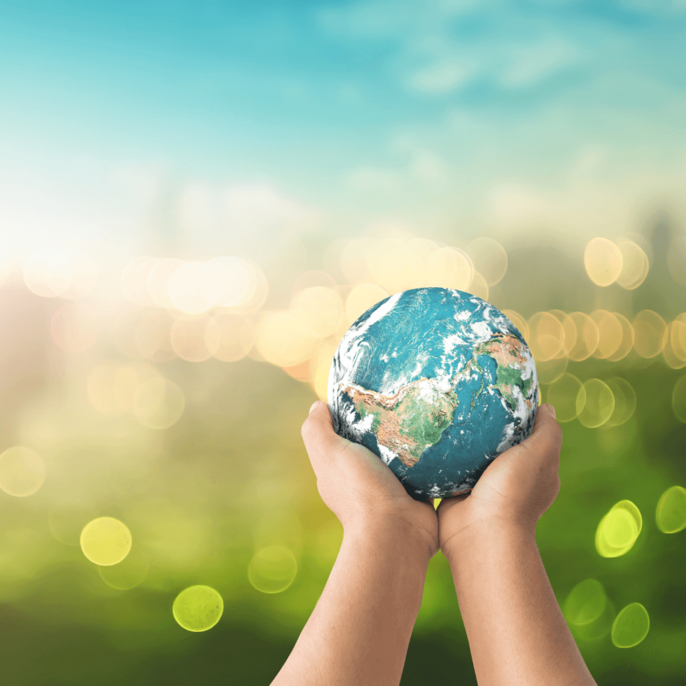 Our story - Mandals AS