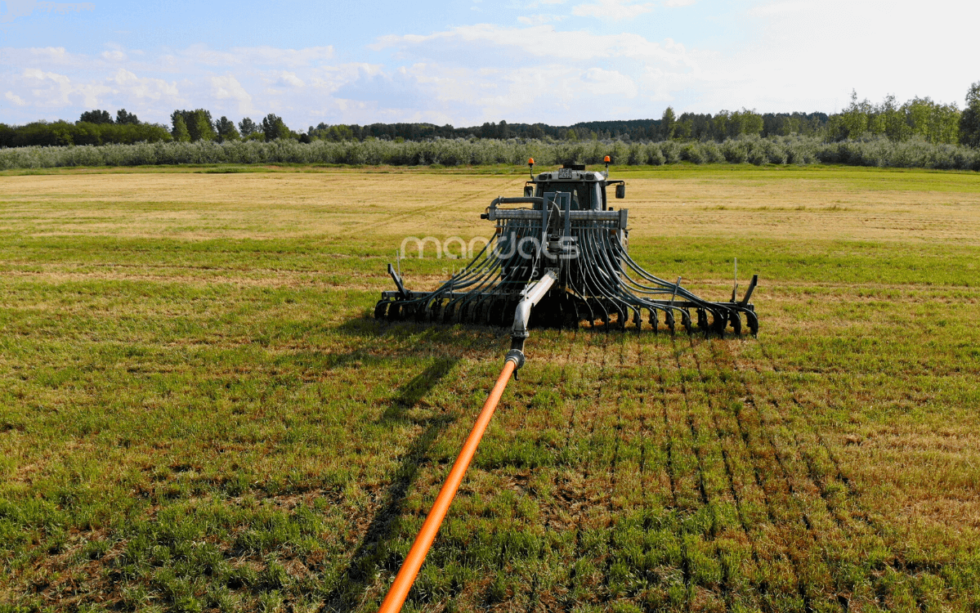 Dragman - Mandals AS