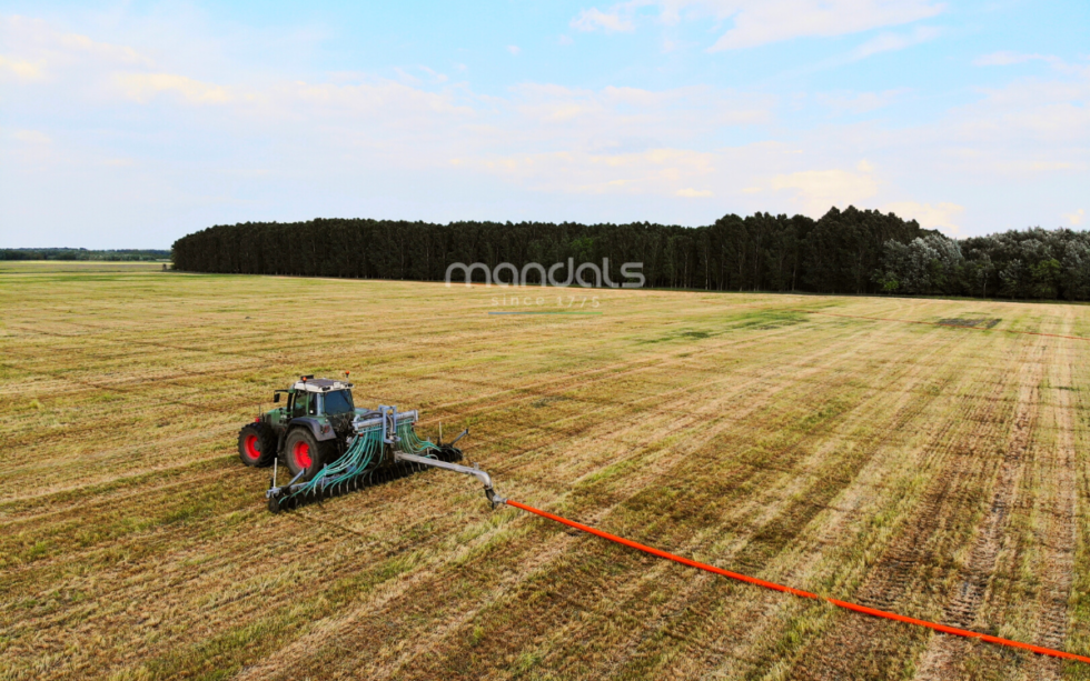 Dragman - Mandals AS